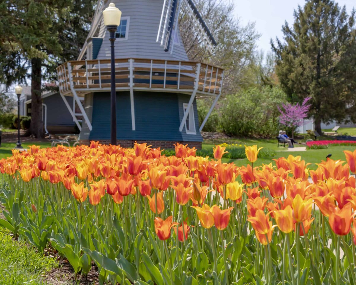 Fun awaits at the 11 best spring & summer festivals in Iowa